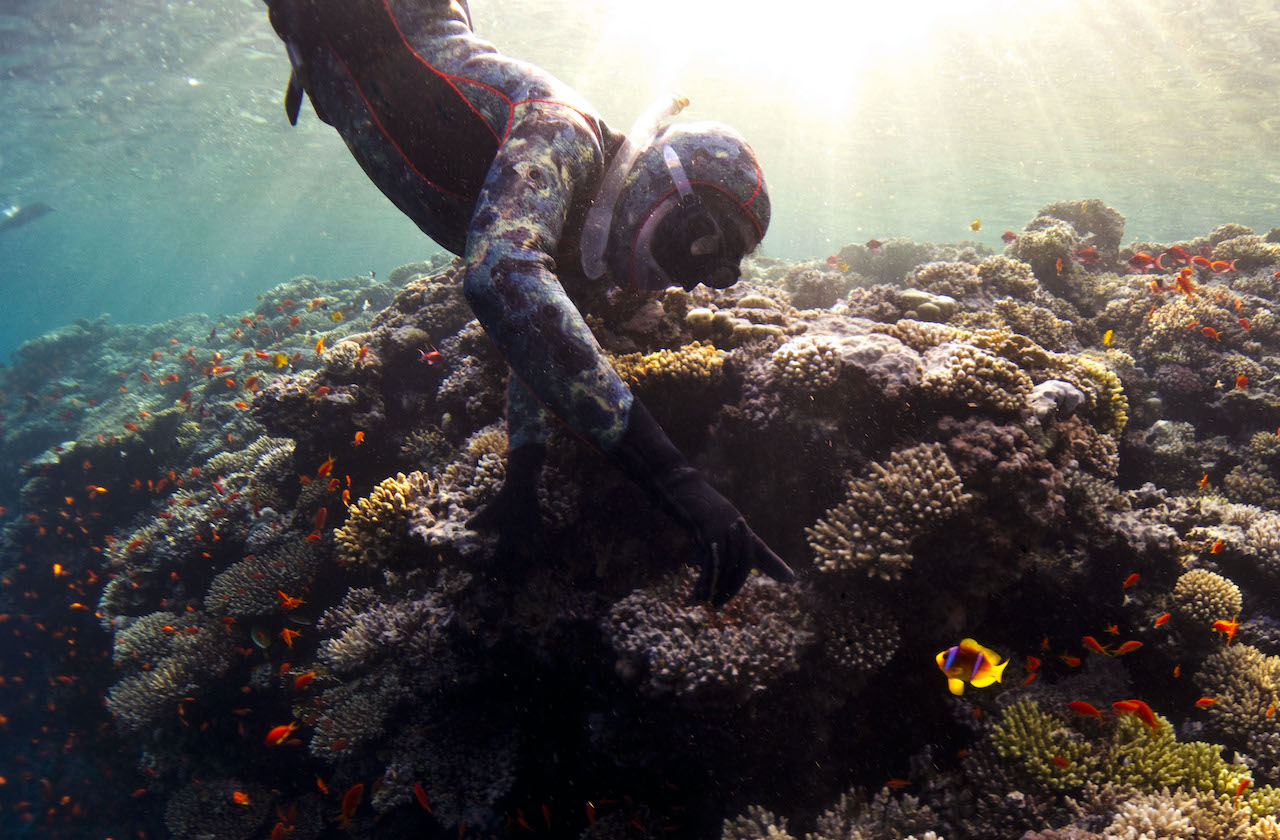 Apnea.UK – London Freediving Club